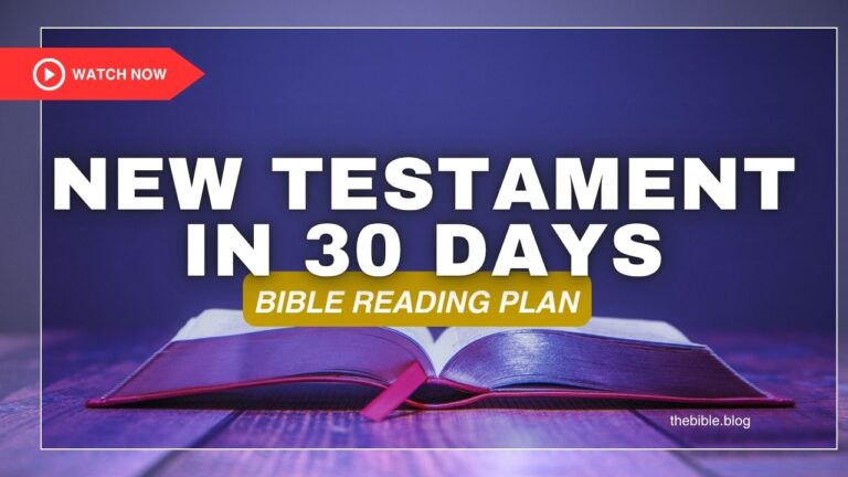The New Testament in 30 Days: Bible Reading Plan